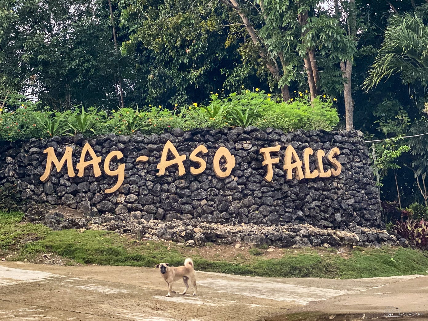 Journey to Mag-Aso Falls: A Spectacular Paradise in Kabankalan - Suroy.ph