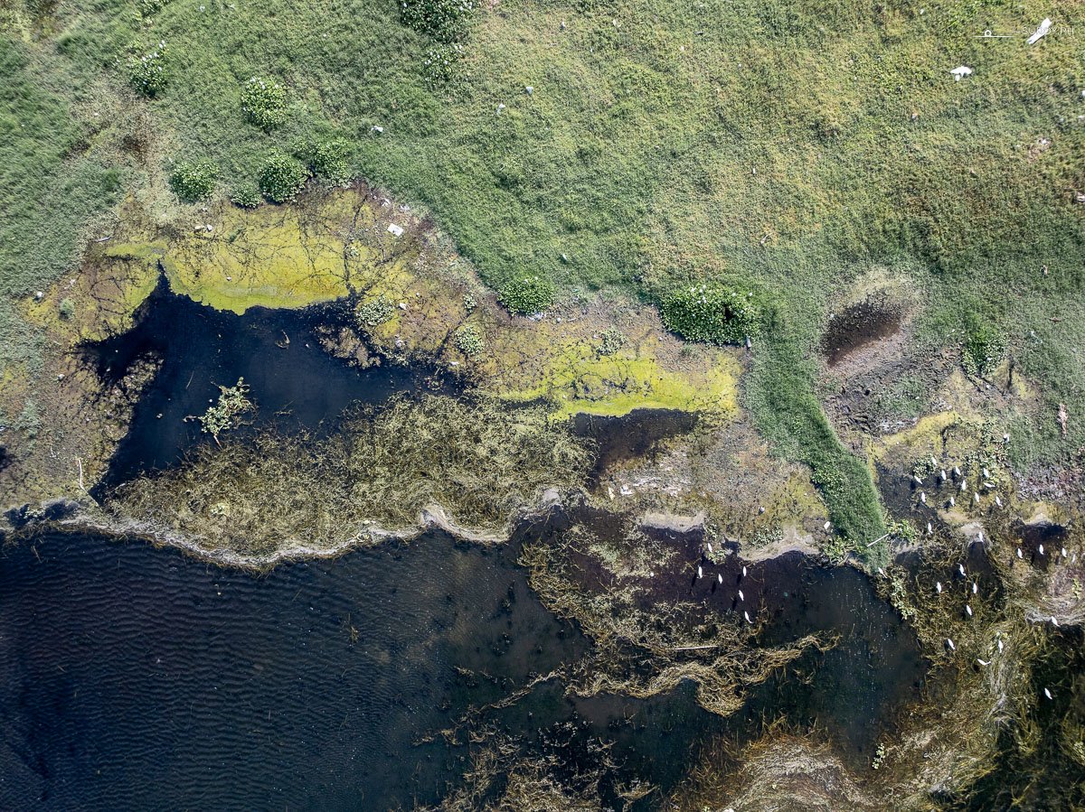 Volcanic Ashfall Survival Guide: How to Stay Safe - Suroy.ph